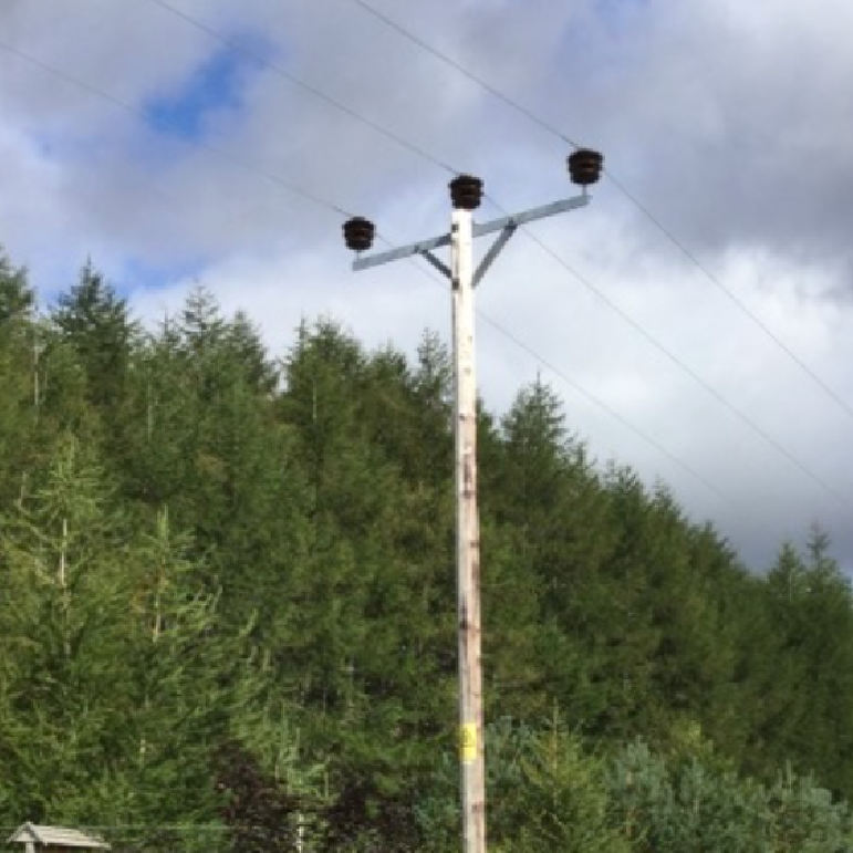 Compensation For Power Lines