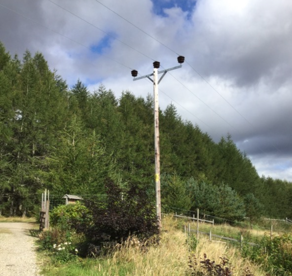 Power lines and Wooden Pole Compensation