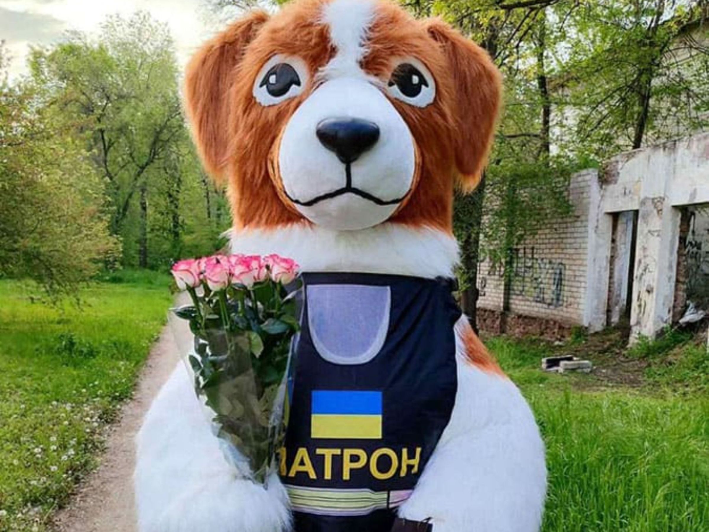 Пес Патрон в м.Київ на день народження. Ціна привітання