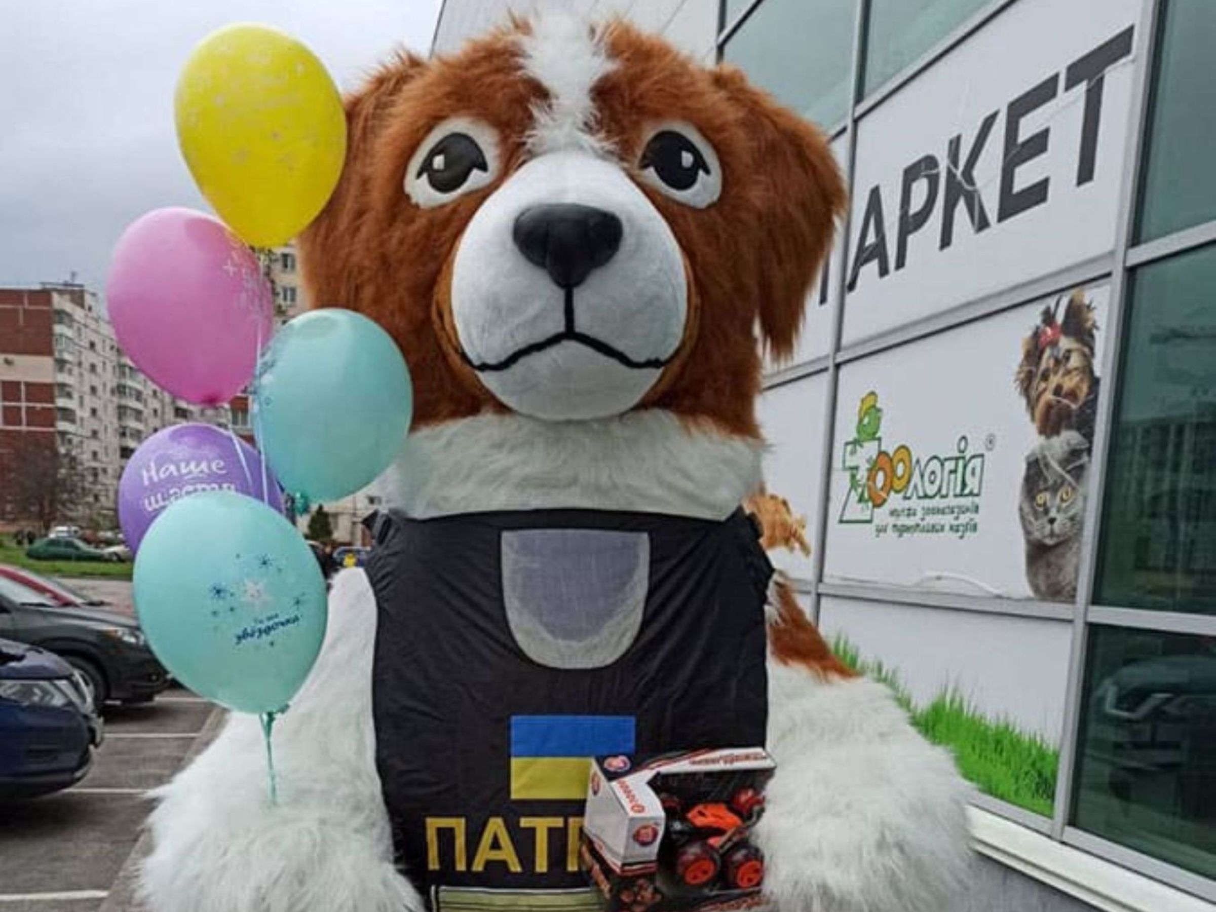 Привітання Пса Патрона. Замовити Ростового Пса та ціна.