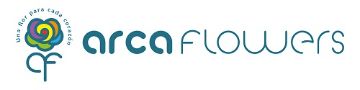 Arca Flowers: Calidad y Belleza en Cada Flor desde Colombia y Ecuador